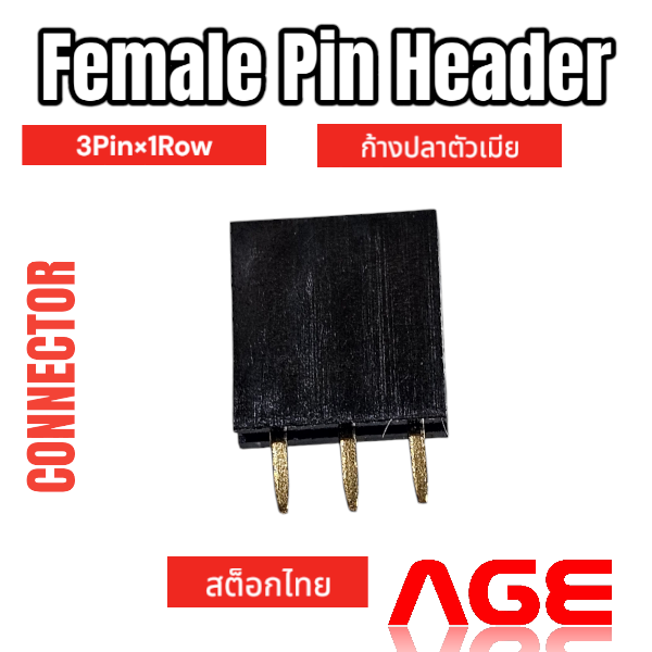 Female Pin Header Connector 3 Pin (3PinX1Row), Pitch 2.54mm Female ...