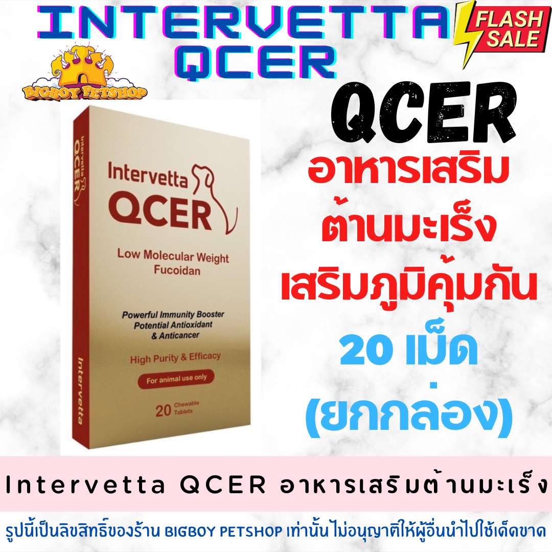 Sale!! QCER อาหารเสริมต้านมะเร็ง เสริมภูมิคุ้มกัน (ยกกล่องบรรจุ20เม็ด) ยกกล่อง - Bigboy Petshop ...